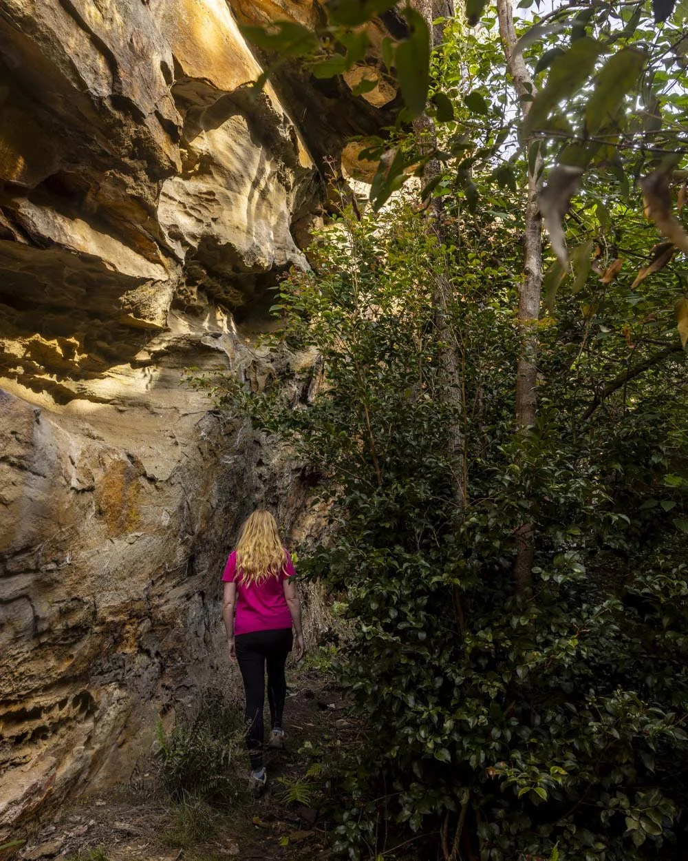 How to find the Bugong secret grotto near Nowra — Walk My World
