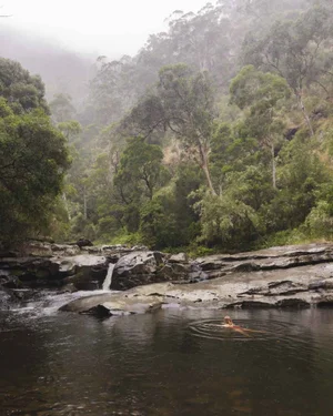 14 Unmissable things to do in Lorne — Walk My World