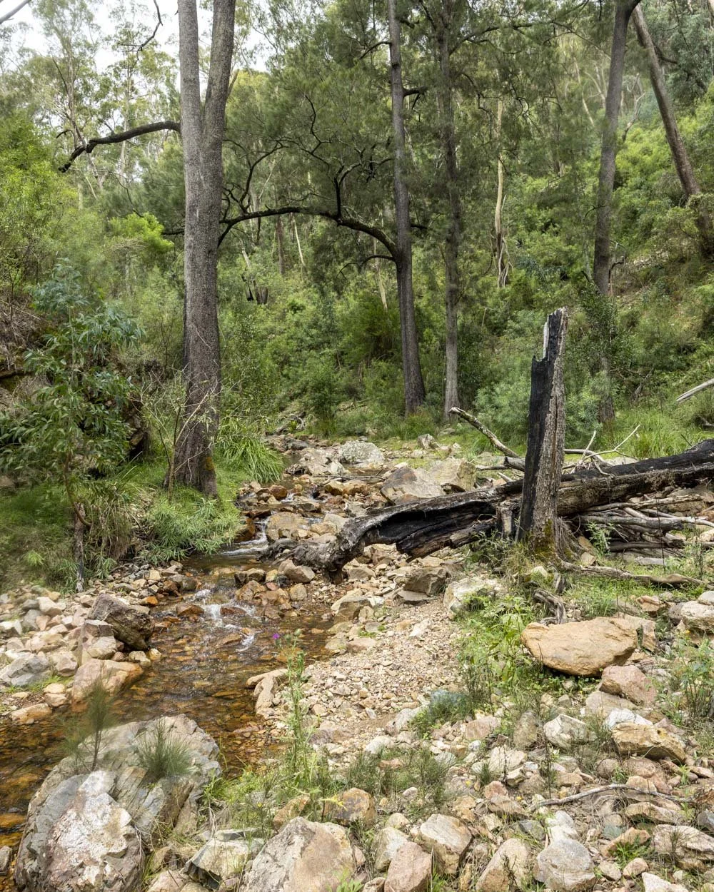 Rediscovering Wombeyan's lost waterfall — Walk My World