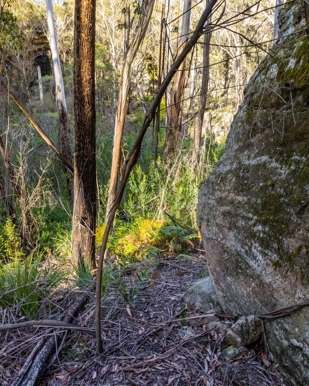 Pool of Diana: wild swimming in the Blue Mountains' hidden paradise ...