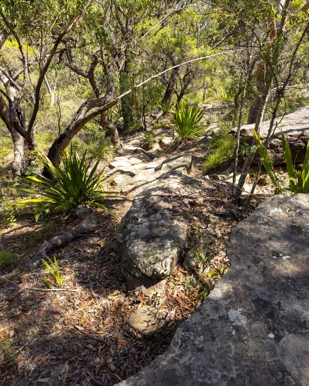 Kingfisher Pool: a pretty swimming hole in Heathcote National Park ...