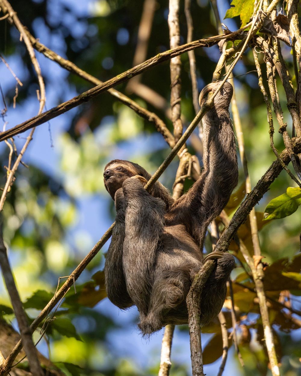 19 of the best hikes Costa Rica: from rainforest to volcanos to wild ...