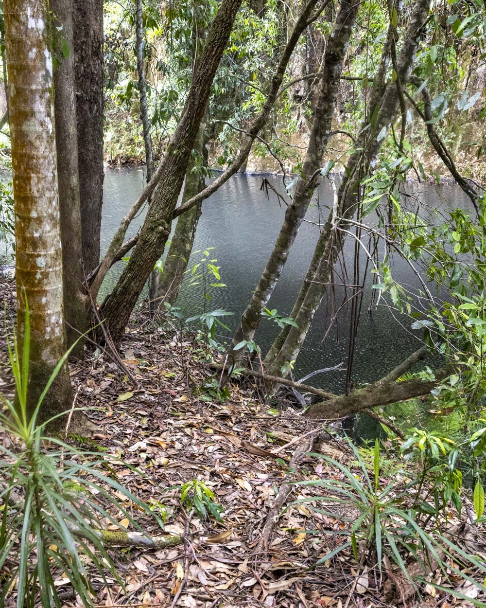 Where to find the stunning gorge pools of Swans Crossing near Port ...