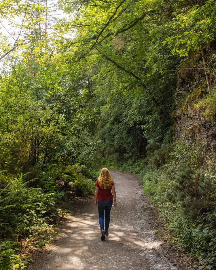 Ffynone Waterfall: wild swimming in Pembrokeshire's hidden fairy grotto ...