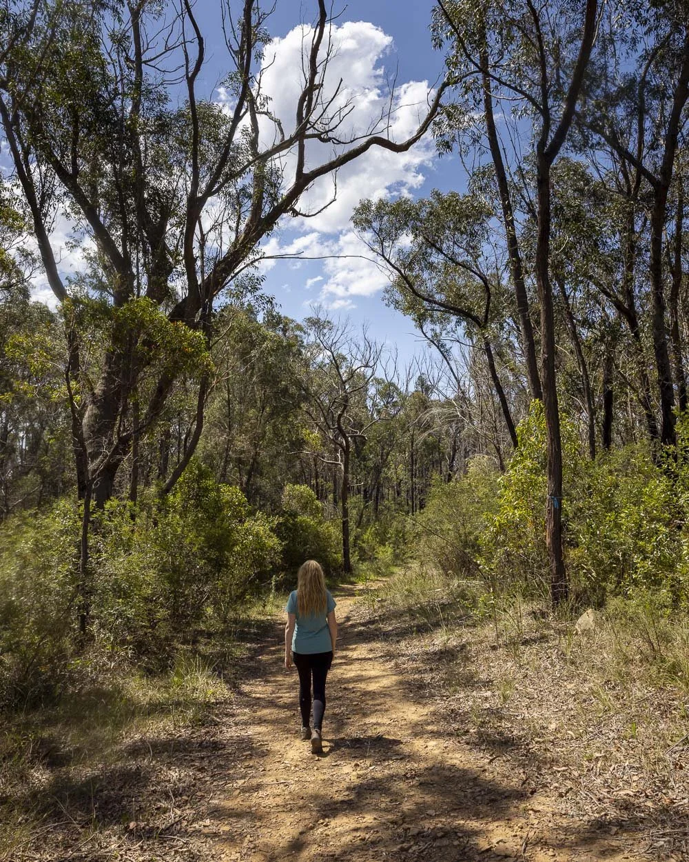 Yerrinbool Falls: a beautiful secluded waterfall in the Southern ...
