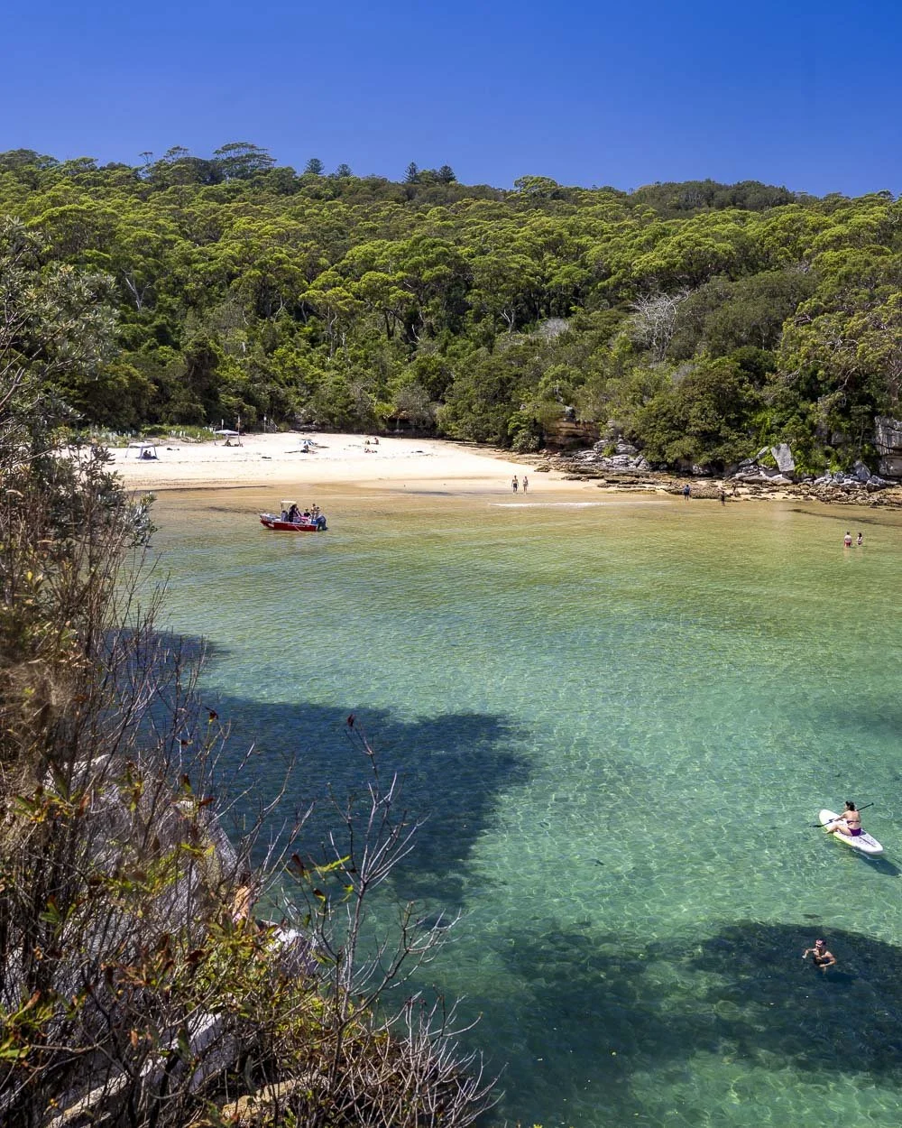 Store Beach: how to reach the most beautiful beach in Manly without a ...