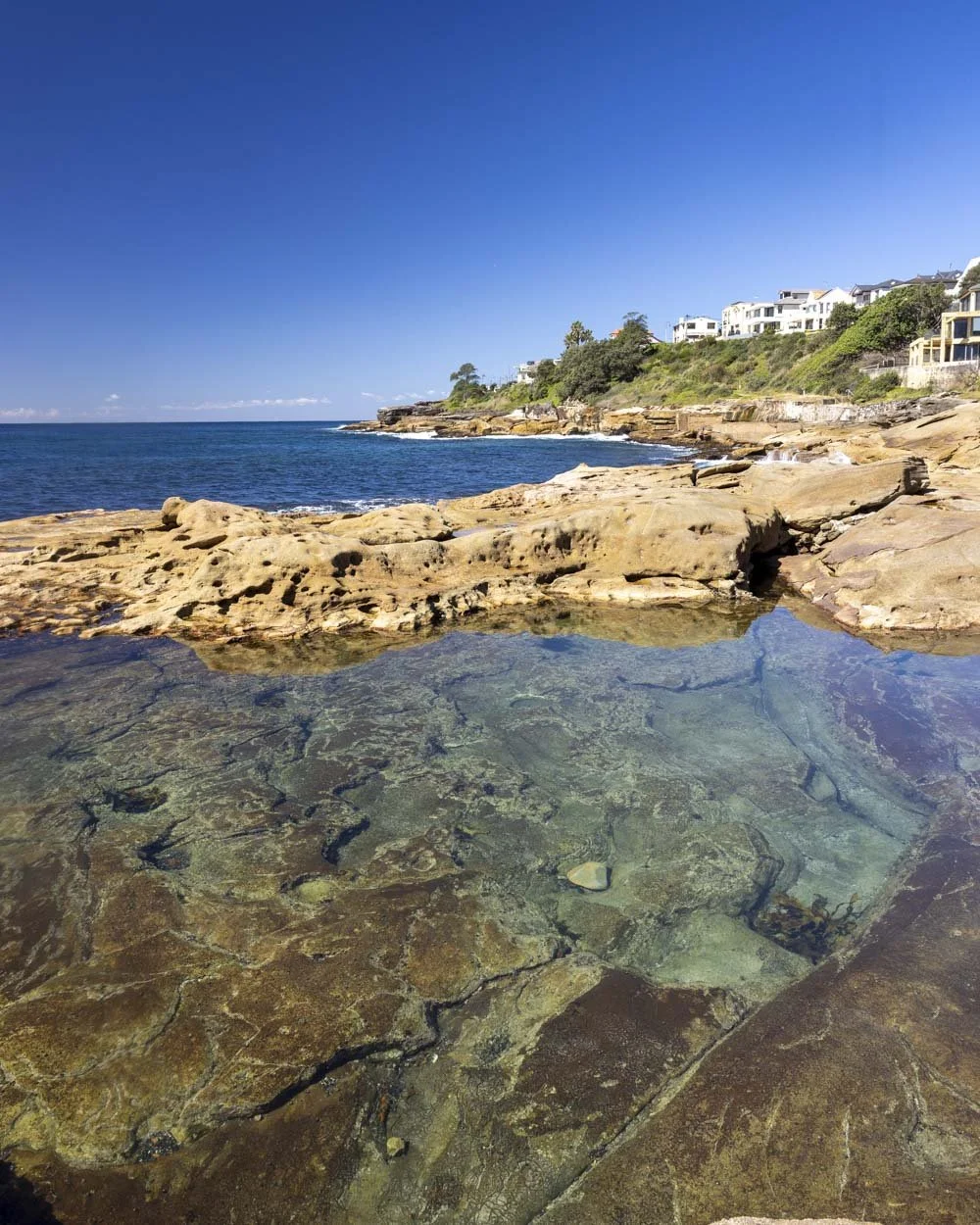 Rob Walker Rockpool: a gorgeous natural rockpool in Maroubra — Walk My ...