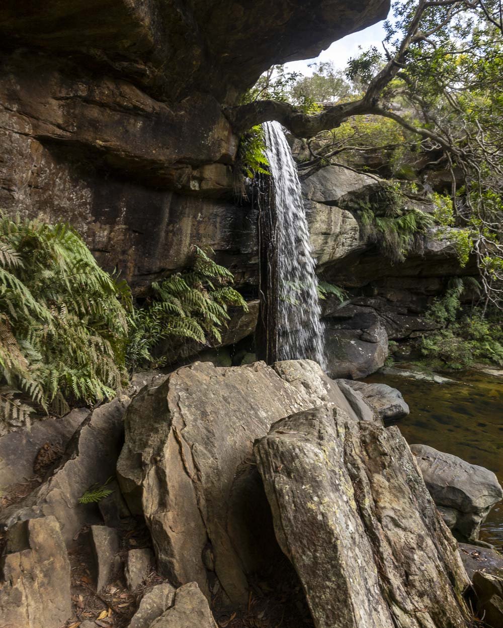 Girrakool Falls: a gorgeous waterfall and plunge pool on the Central ...