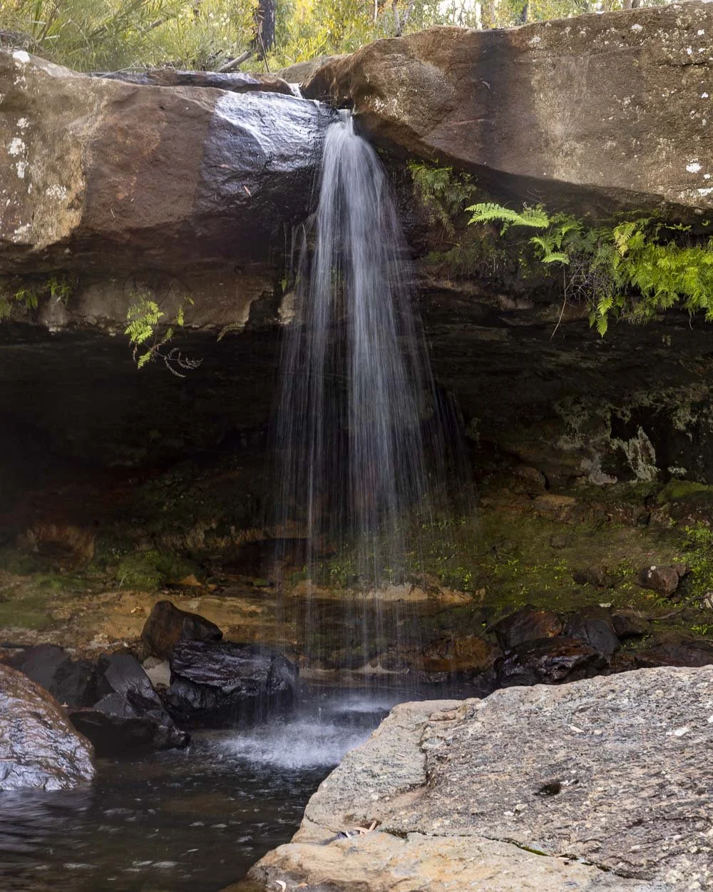 Berrara Creek Waterfall: a little visited waterfall near Jervis Bay ...