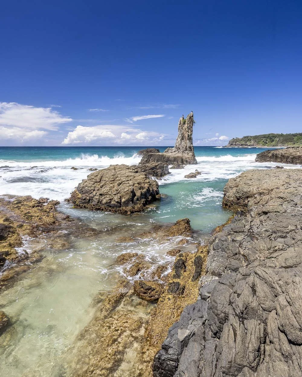 How to find the best rockpools at Cathedral Rocks in Kiama — Walk My World