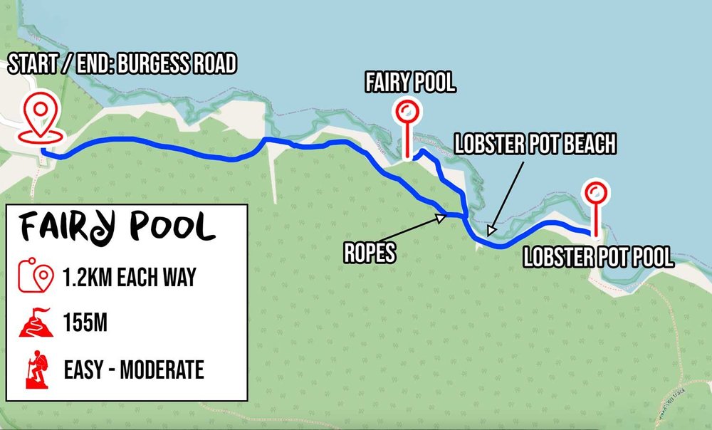 How to find Forster's magical Fairy Pool — Walk My World