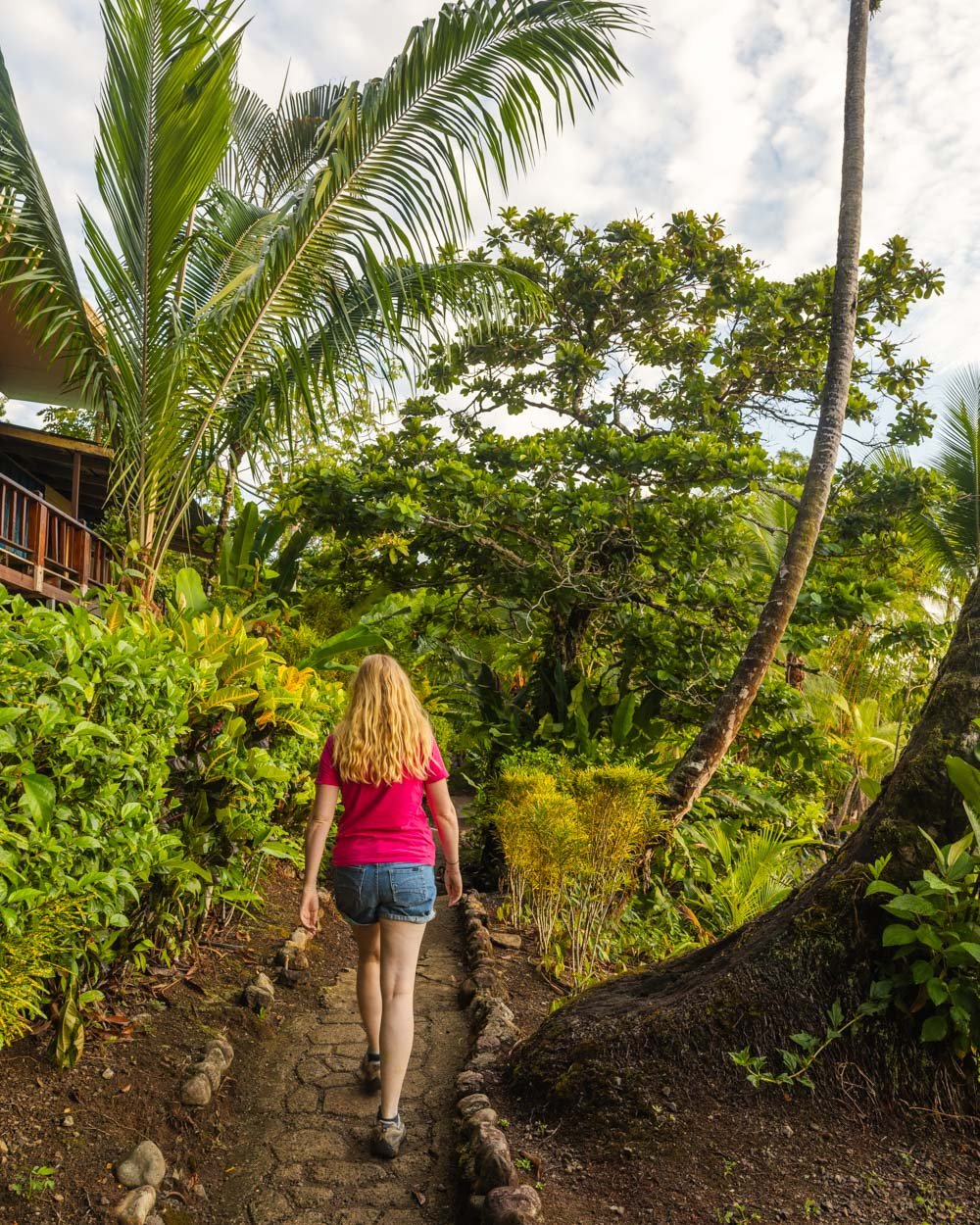 Drake Trail: a wild hike and a taste of Corcovado without the entry fee ...