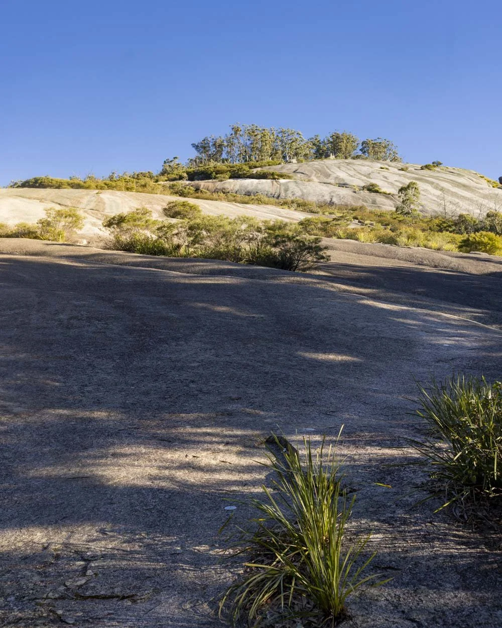 Bald Rock: one of the most fun day walks in NSW — Walk My World
