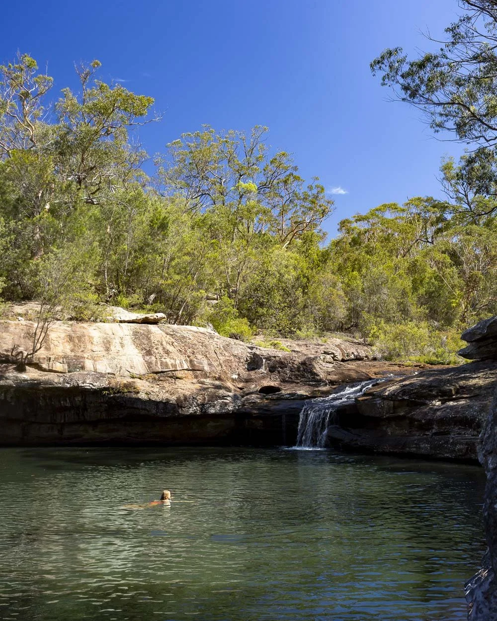 Wild swimming at Minerva Pool: one of Sydney's best waterholes — Walk ...
