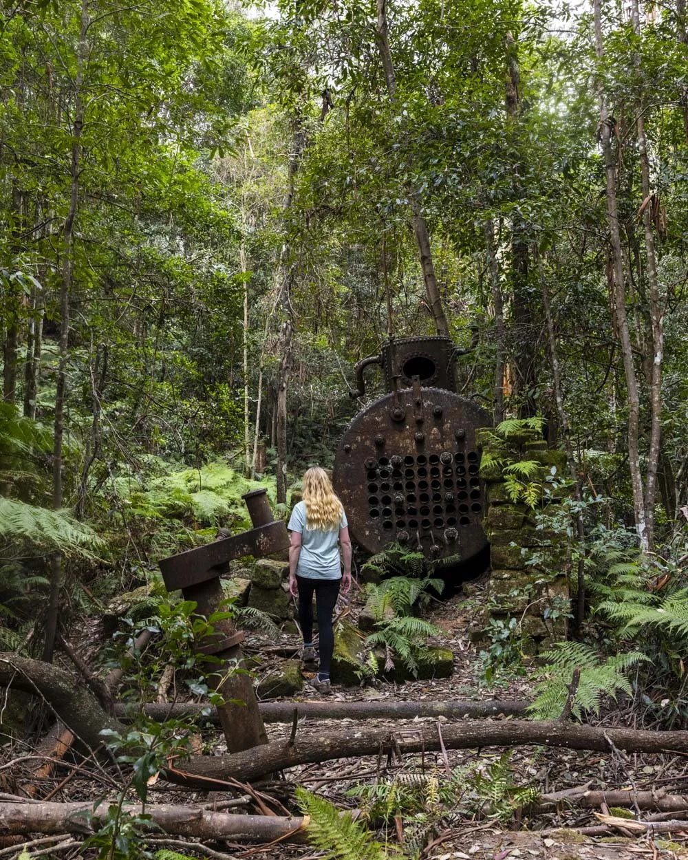 How to find the jungly ruins of the old Faulconbridge Timber Mill ...