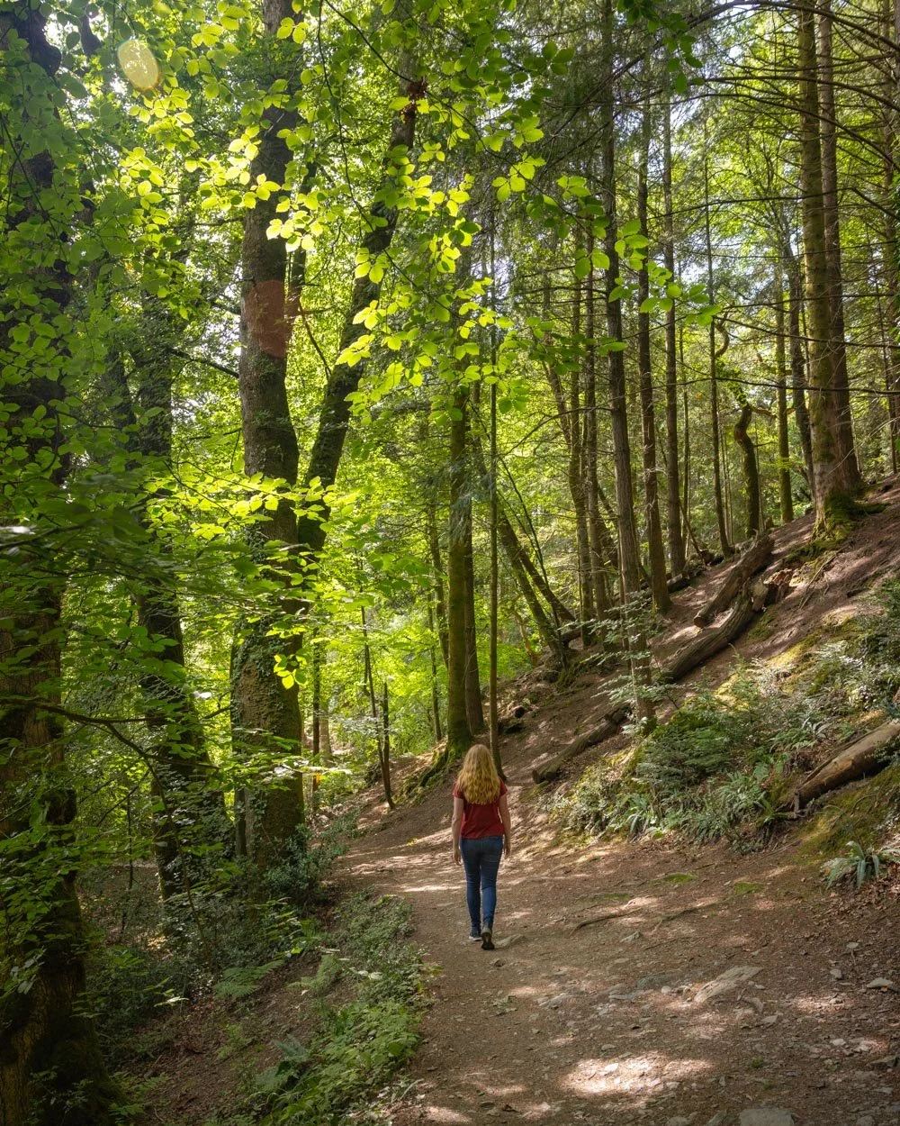 Ffynone Waterfall: wild swimming in Pembrokeshire's hidden fairy grotto ...