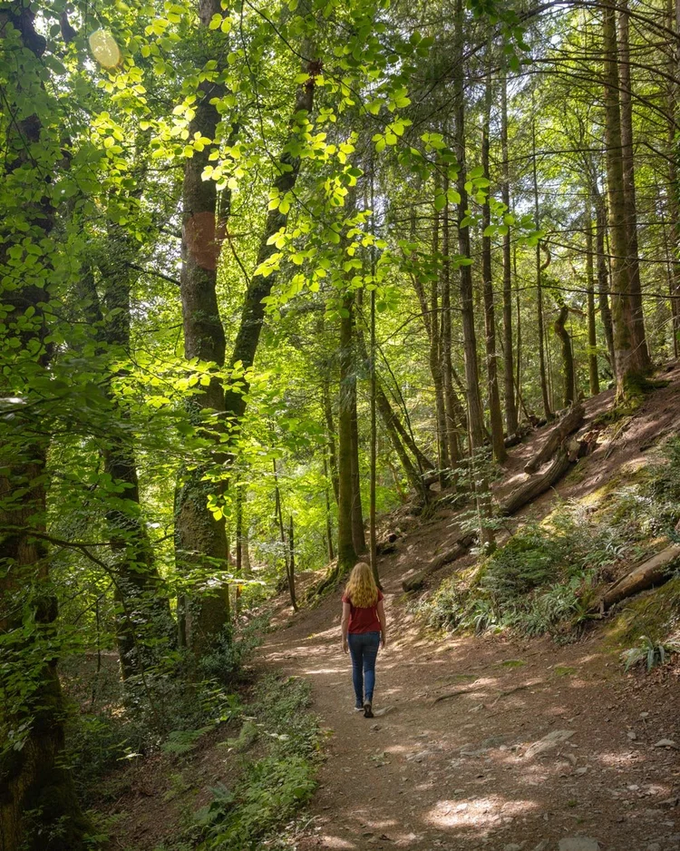 Ffynone Waterfall: wild swimming in Pembrokeshire's hidden fairy grotto ...