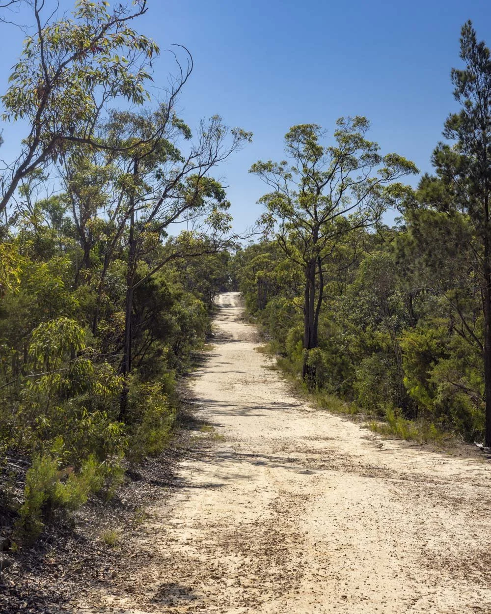 Faulconbridge Point: secluded wild swimming & epic sunset spot in the ...