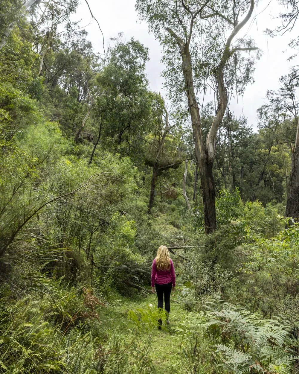 Rediscovering Wombeyan's lost waterfall — Walk My World