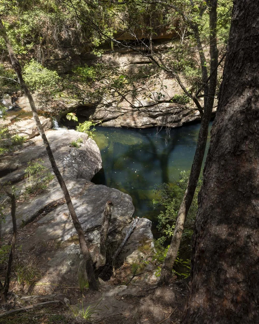 Shaws Creek Pool: a hidden swimming hole in the Blue Mountains — Walk ...
