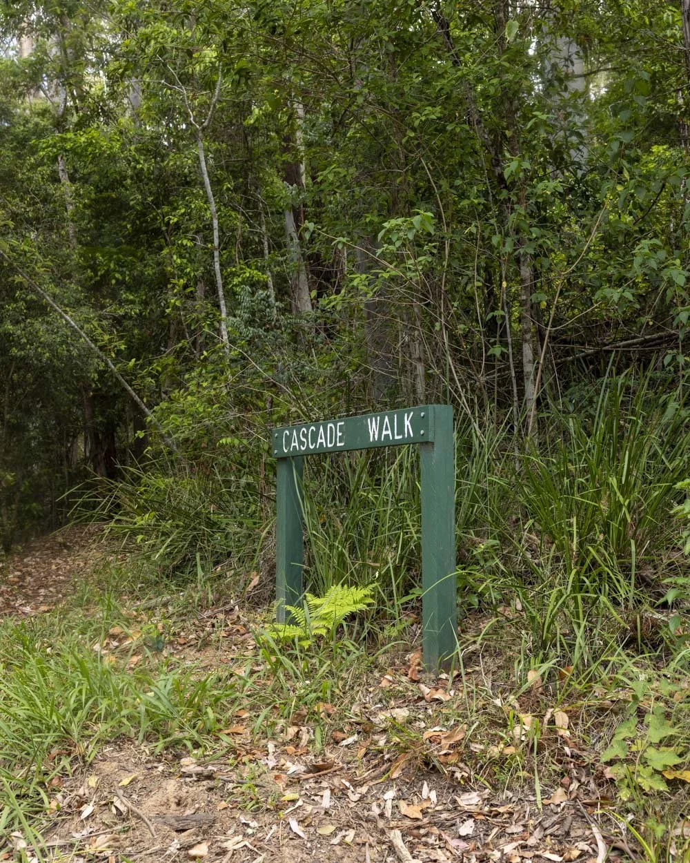 Where to find the stunning gorge pools of Swans Crossing near Port ...