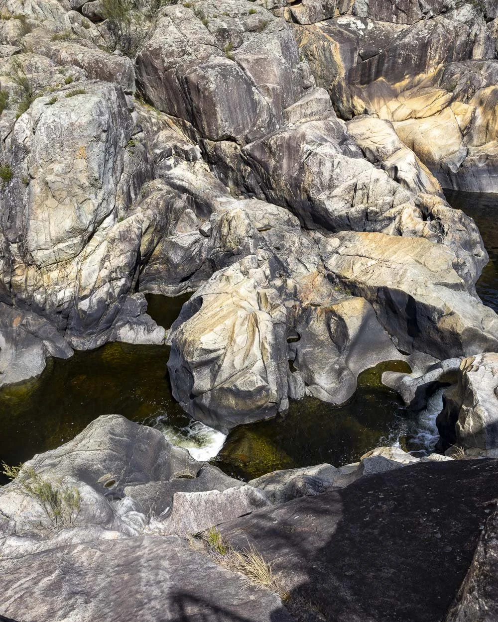 Googong Cascades: is this the best wild swimming spot near Canberra ...