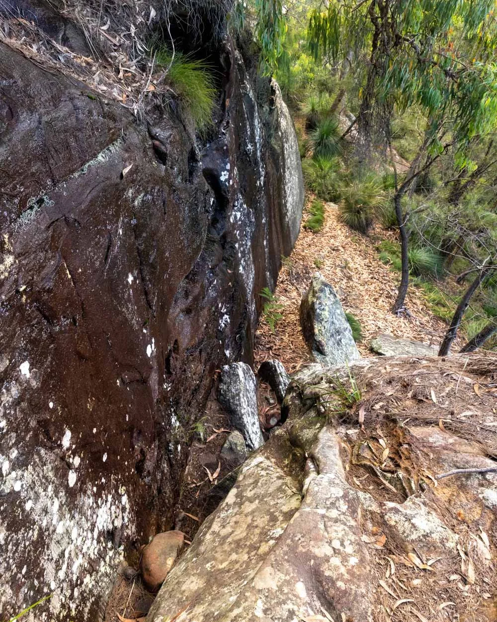 Refuge Bay: an amazing beach waterfall and secret infinity pool — Walk ...