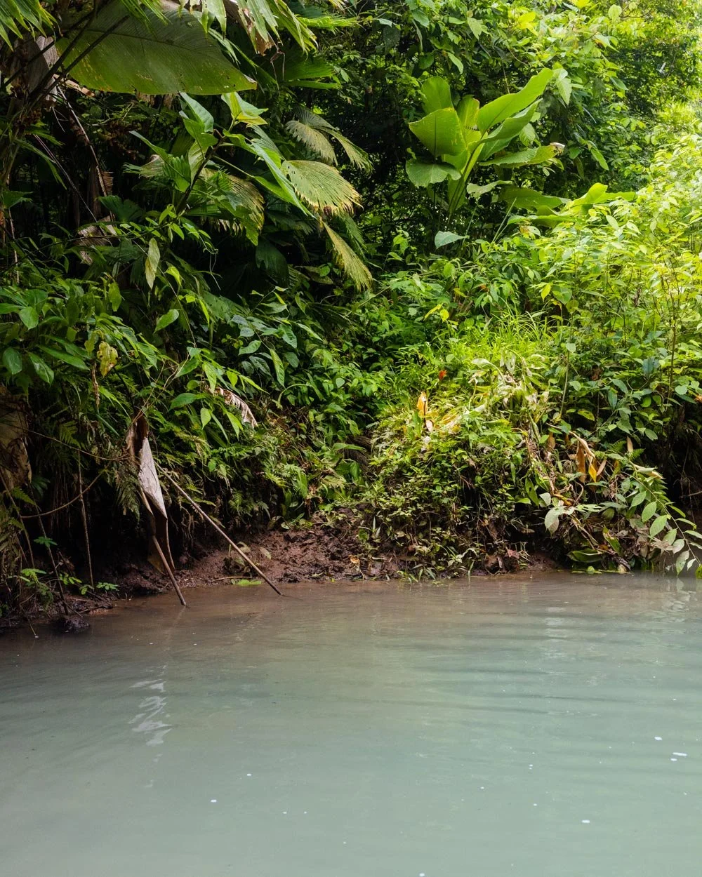 Naguala Waterfall: a fun adventure in Drake Bay that doesn't require a ...