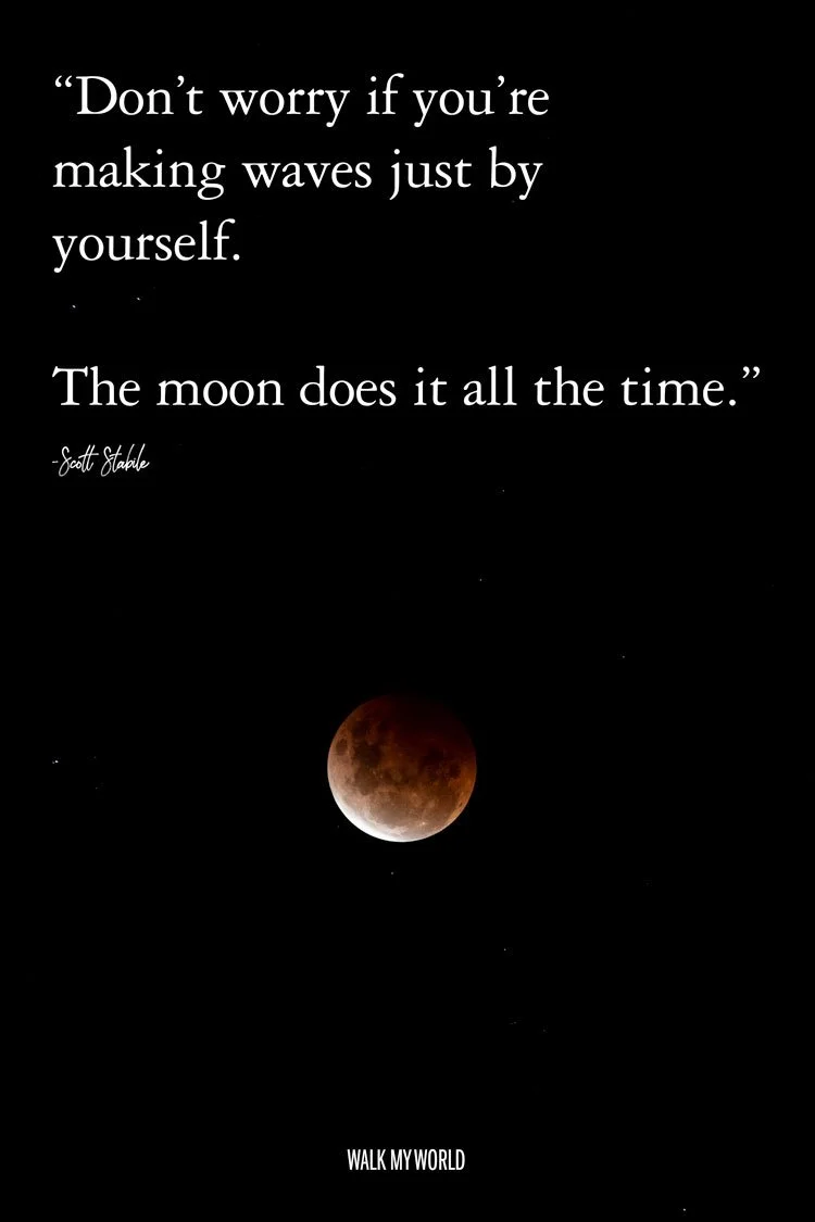 50 Inspirational Moon Quotes Walk My World