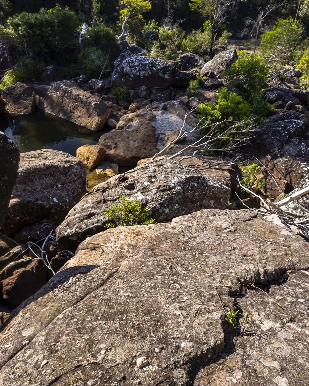 Sandy Creek Falls: Jervis Bay's secret waterfall swimming hole — Walk ...