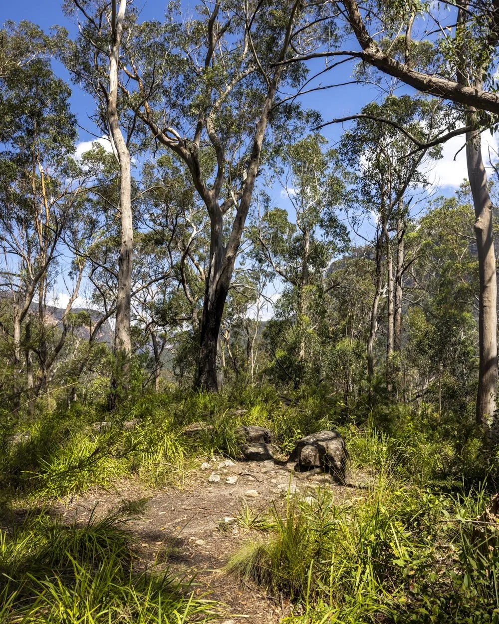 The magical swimming holes of Pierces Pass — Walk My World