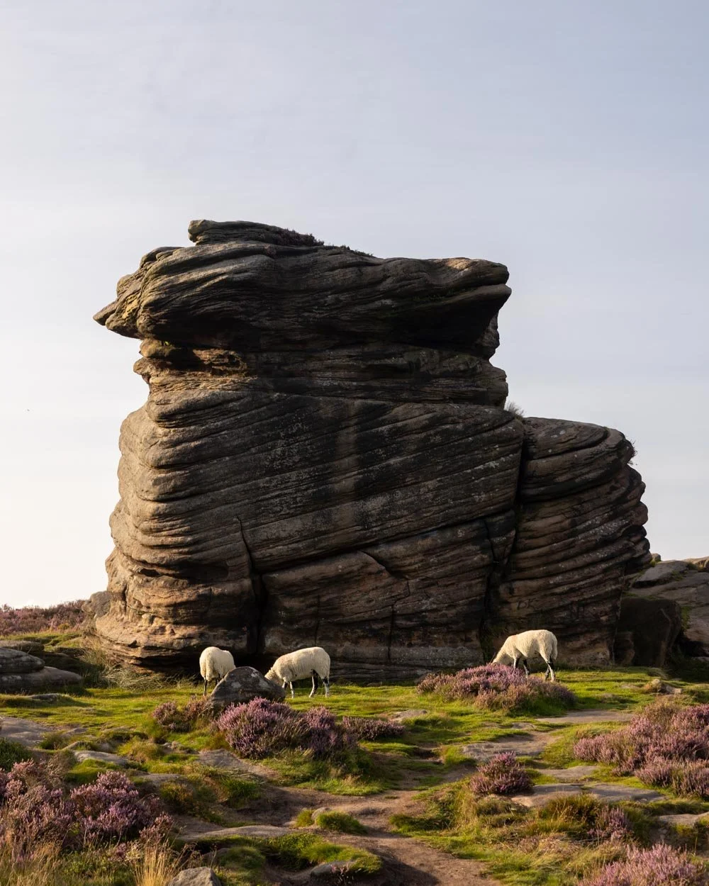 The Over Owler Tor & Higger Tor Walk: sunset, heather and spectacular ...