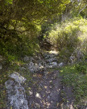 How to find Forster's magical Fairy Pool — Walk My World