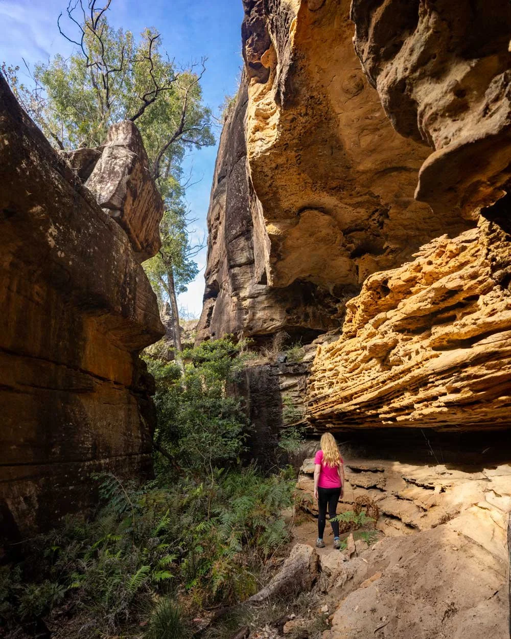 19 Fantastic Things to do in Kangaroo Valley for the Perfect Weekend ...