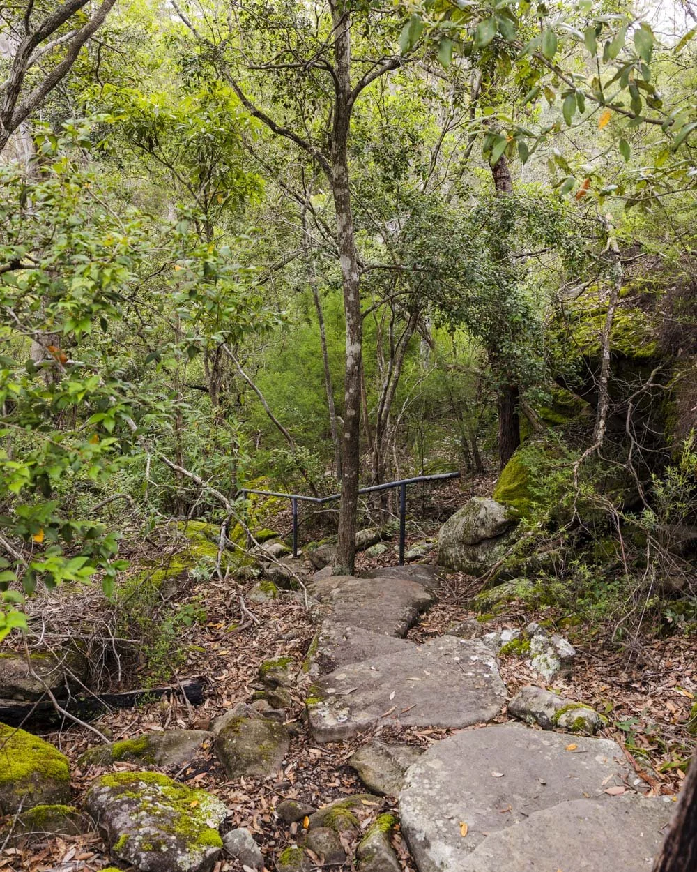Bomaderry Creek: overhangs, mossy gullies and wild swimming in Nowra ...