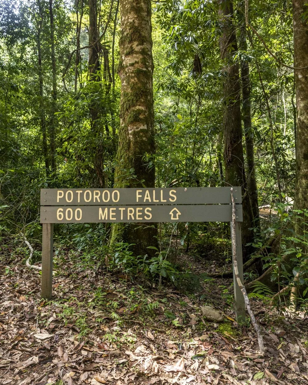 Potoroo Falls: a stunning gorge waterfall swimming hole near Barrington ...