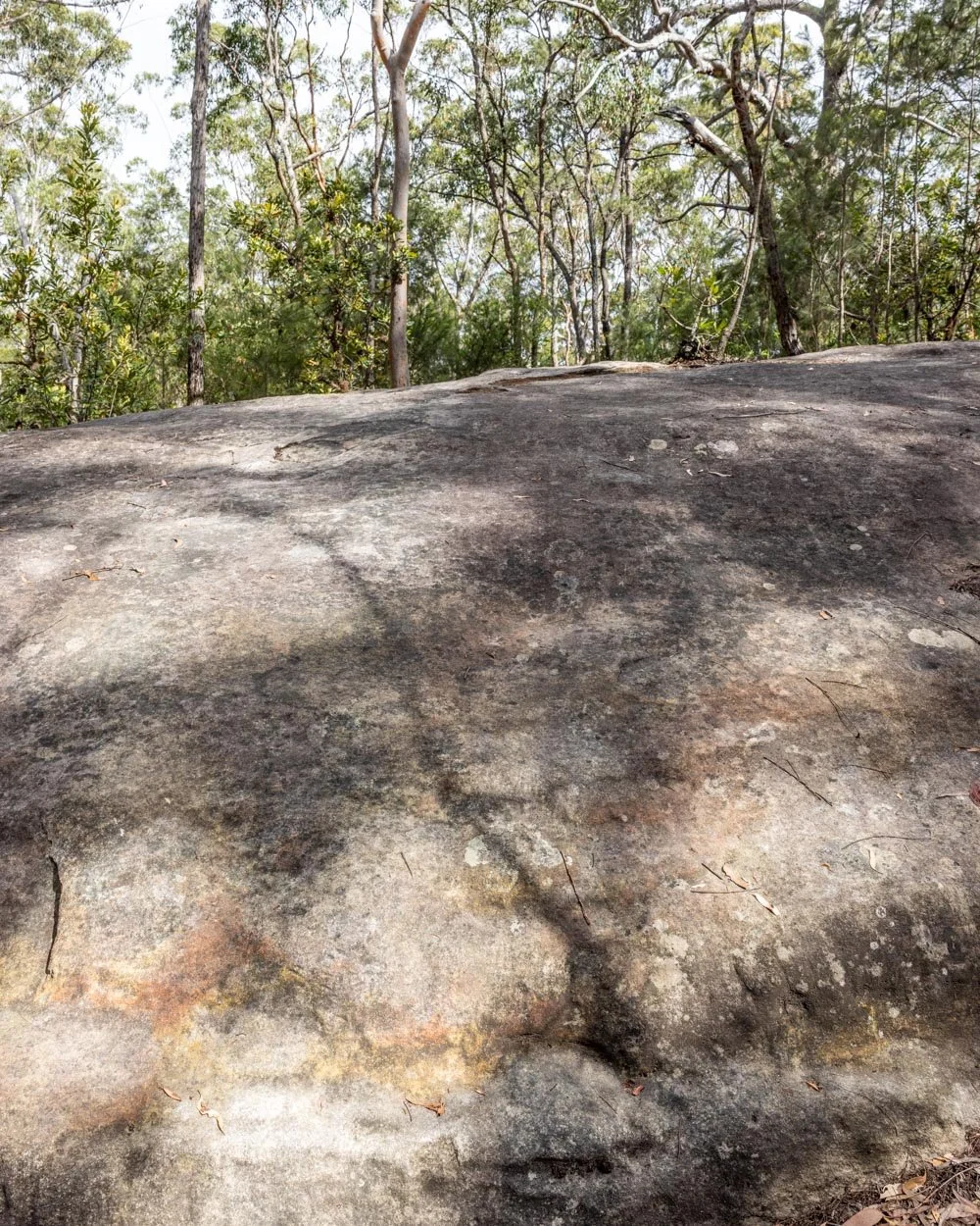 How to find Berowra's Natural Arch via the quickest and easiest route ...