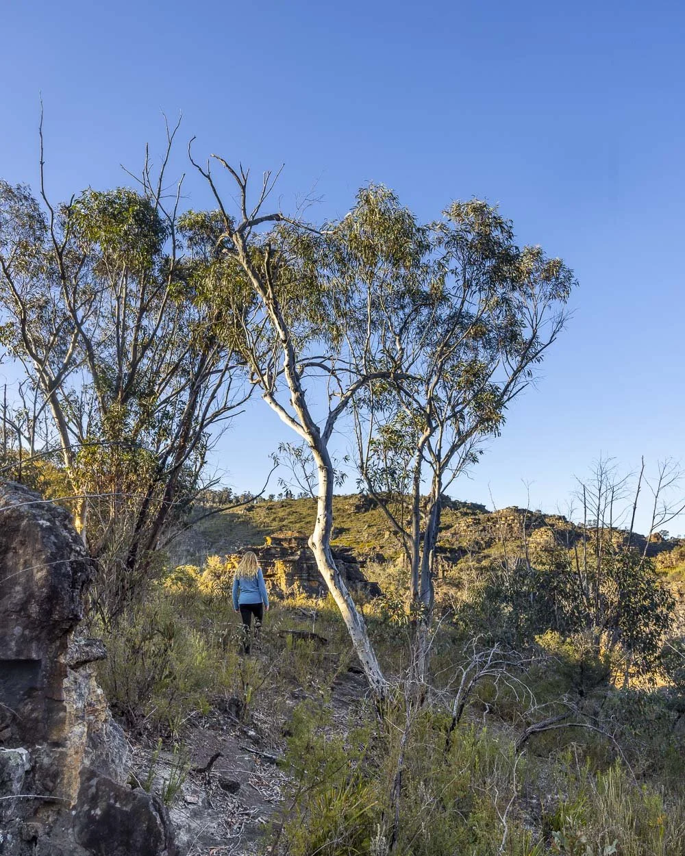 Popeye Falls: a fun slot canyon & unique waterfall hidden in Wollemi ...