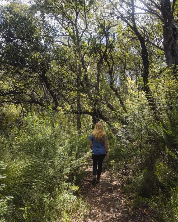 Bundanoon Creek: how to find the secret Fairy Canyon Falls — Walk My World