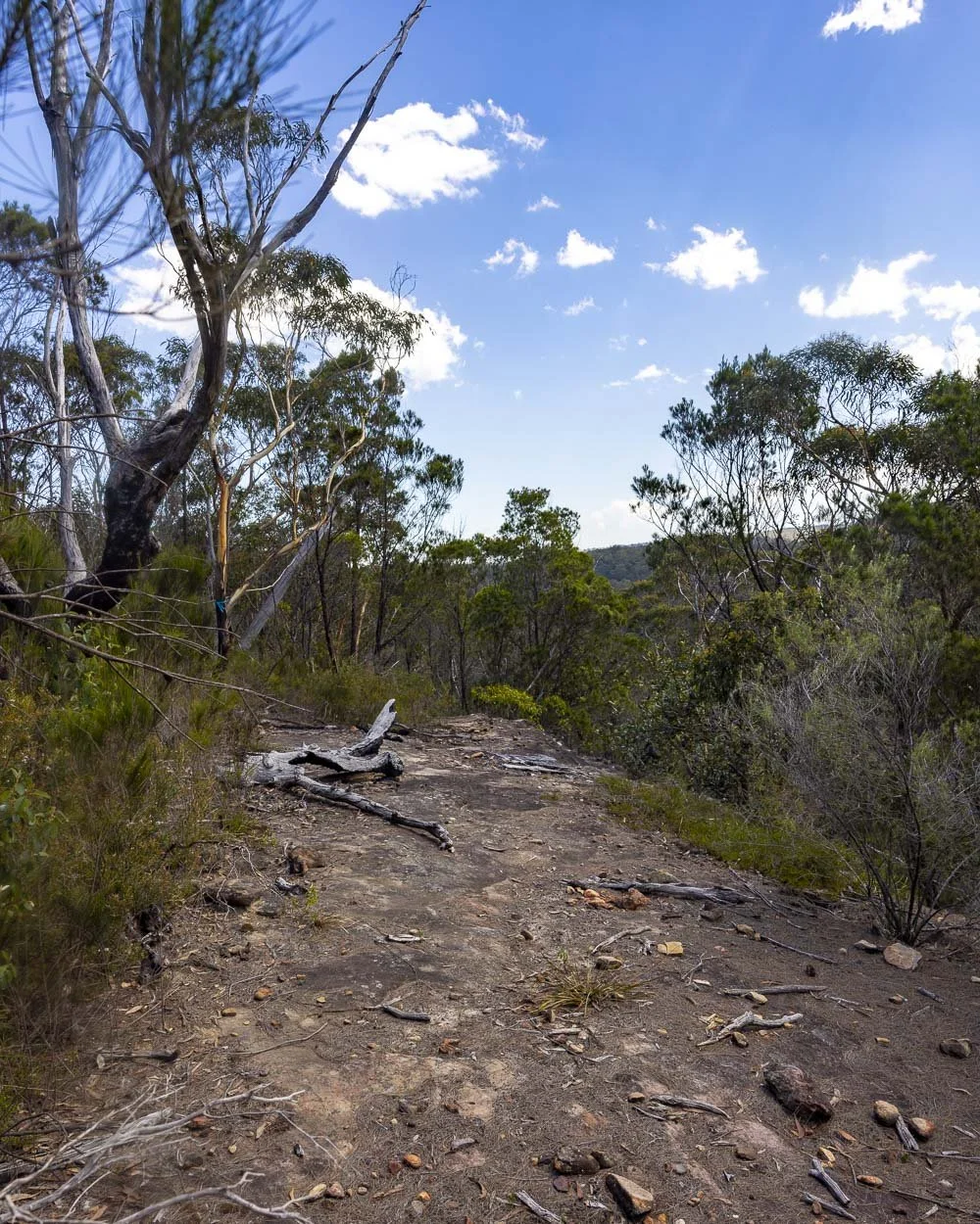 Yerrinbool Falls: a beautiful secluded waterfall in the Southern ...