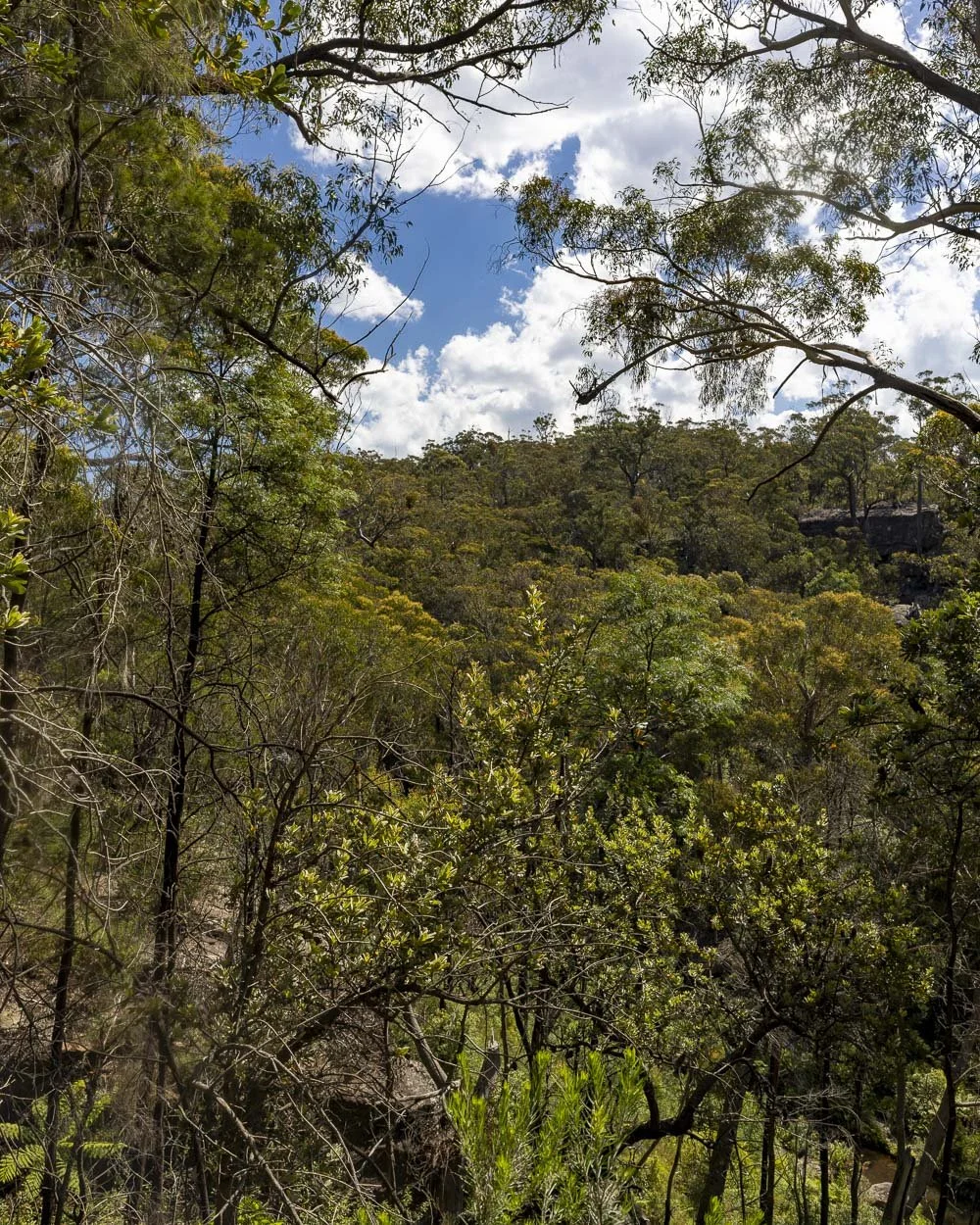Yerrinbool Falls: a beautiful secluded waterfall in the Southern ...