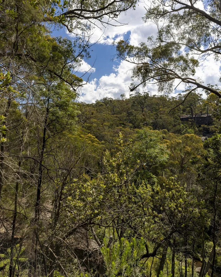 Yerrinbool Falls: a beautiful secluded waterfall in the Southern ...