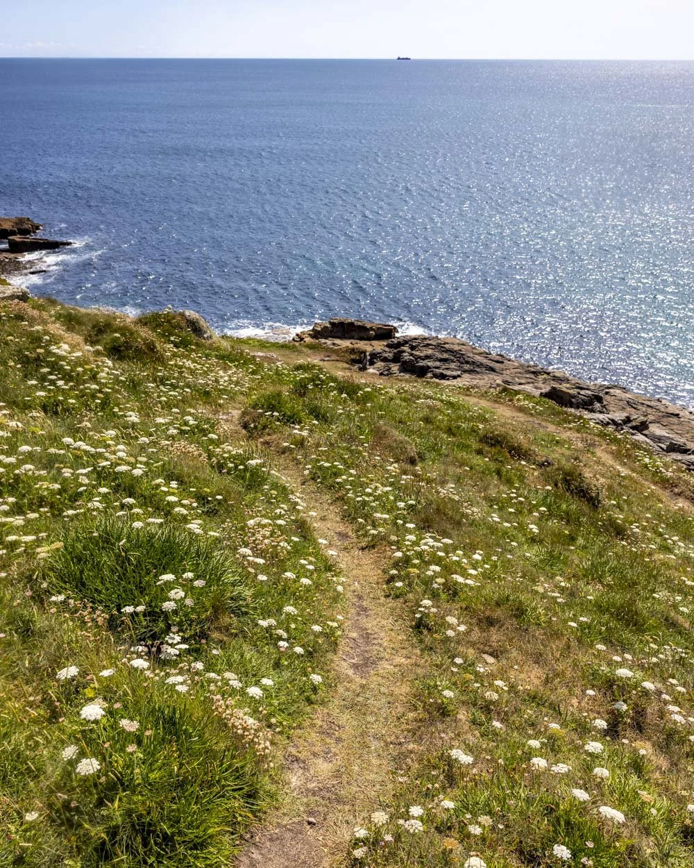 Ray Pool: is this Cornwall's most spectacular tidal pool? — Walk My World