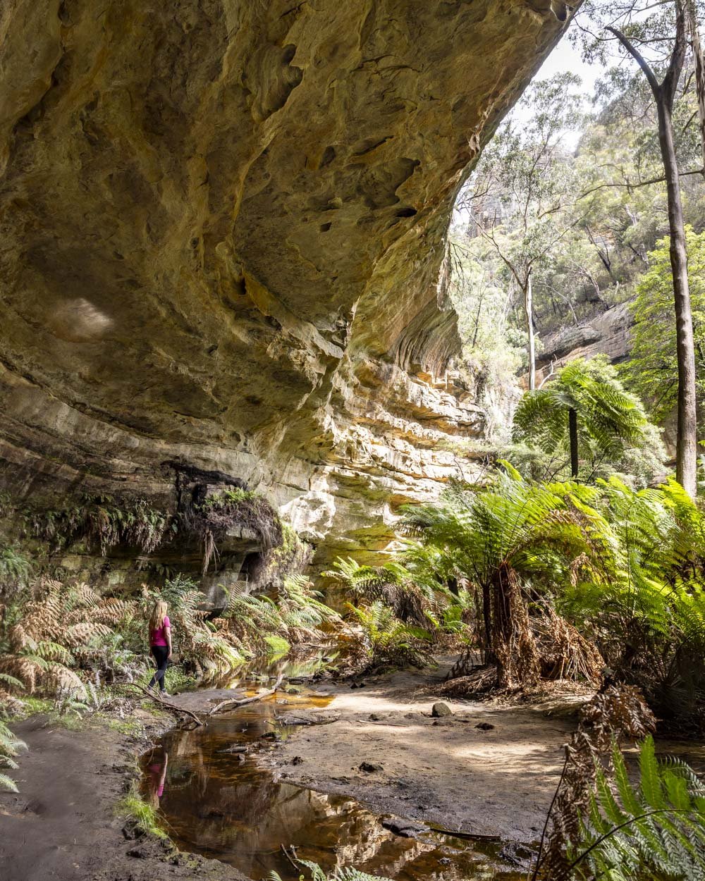 Bells Grotto: a hidden cave and easy walk-in canyon — Walk My World