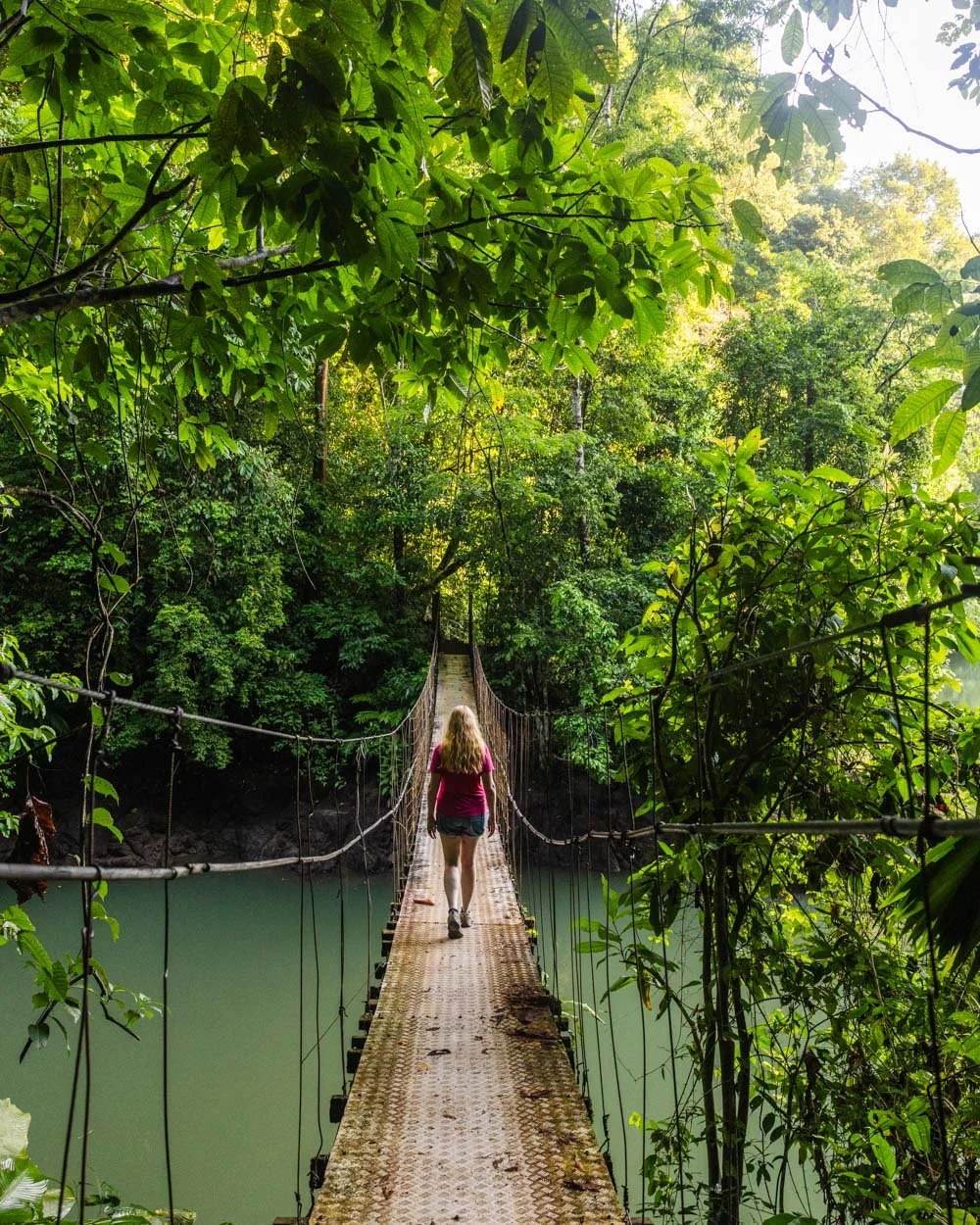 Drake Trail: a wild hike and a taste of Corcovado without the entry fee ...