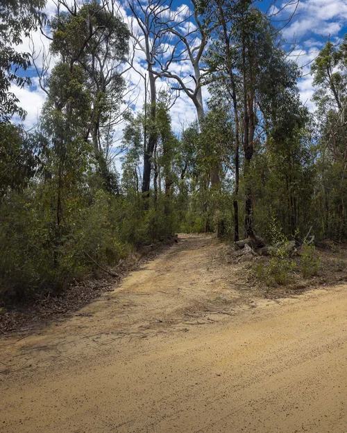 Sandy Creek Falls: Jervis Bay's secret waterfall swimming hole — Walk ...