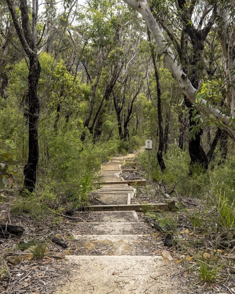 The magical swimming holes of Pierces Pass — Walk My World
