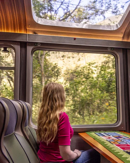The Train To Machu Picchu The Peru Rail Vistadome Carriage Vs