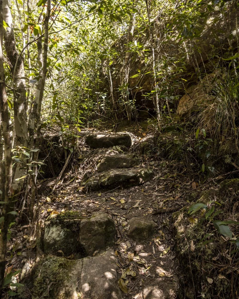 The stunning swimming holes of the Terrace Falls Track — Walk My World