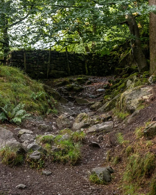 Galleny Force: wild swimming at Borrowdale's fairy glen — Walk My World